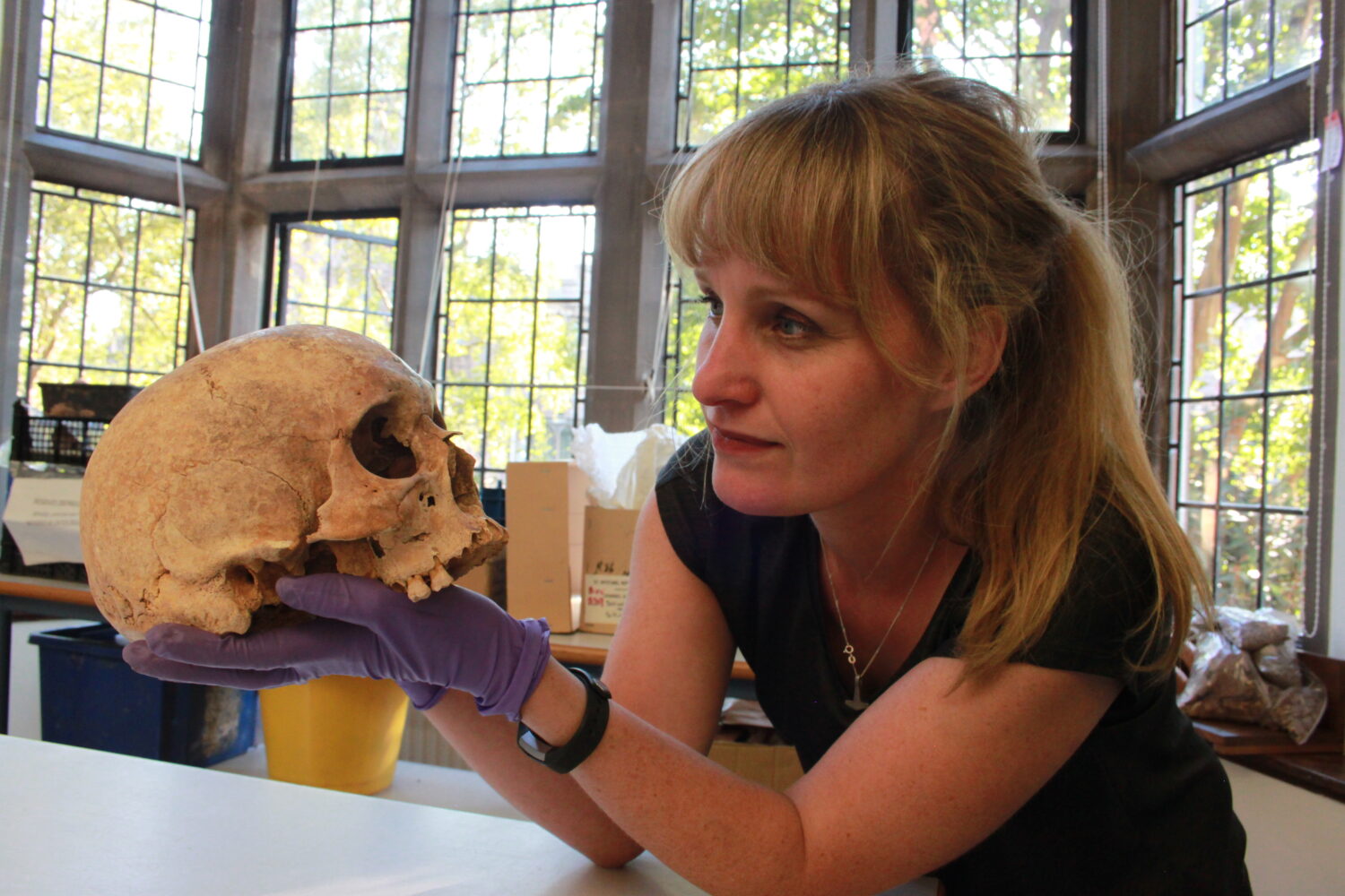 Viking traders may have visited Gujarat, claims Dr Cat Jarman - The Patriot