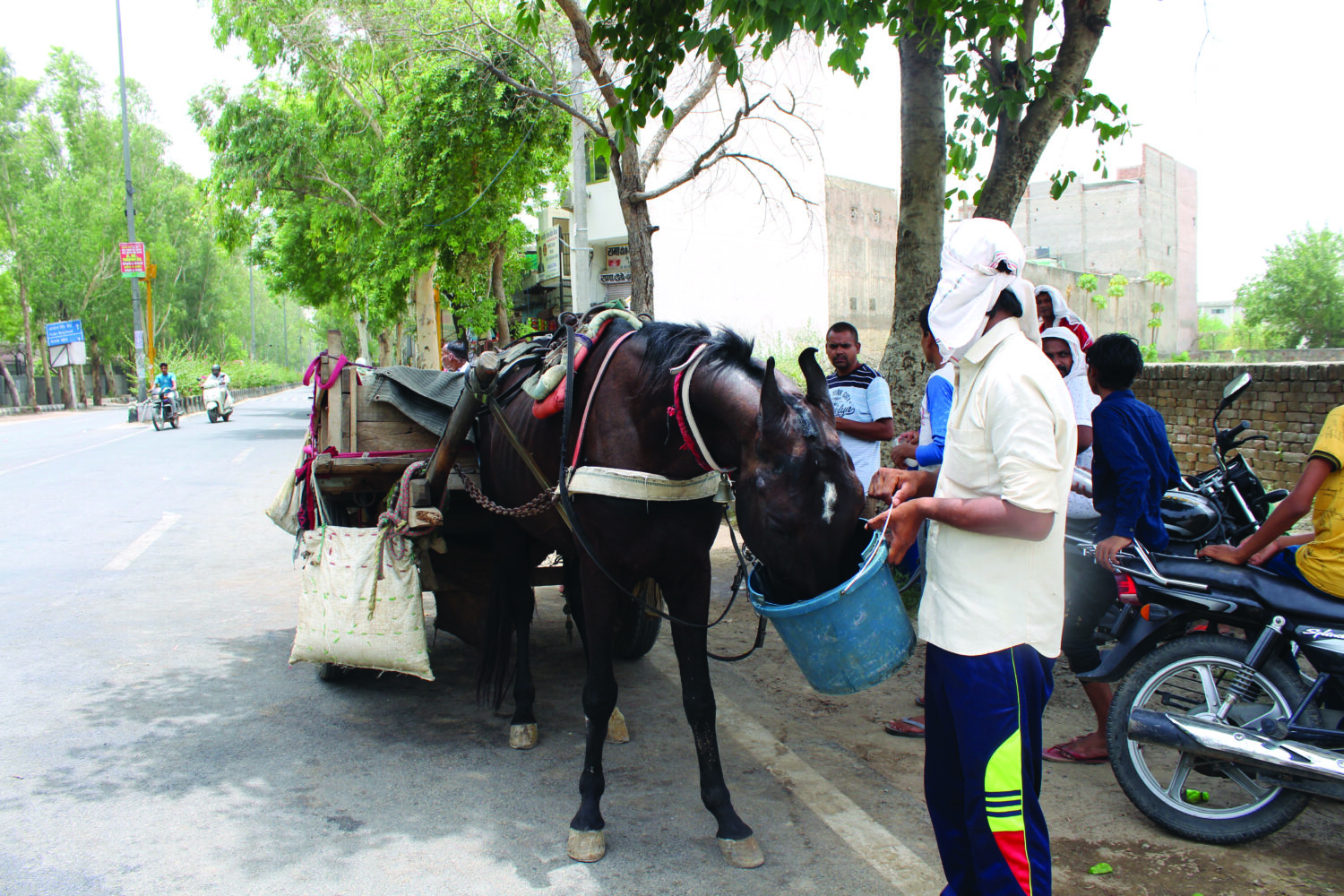 Mungeshpur: Hottest spot in town - The Patriot