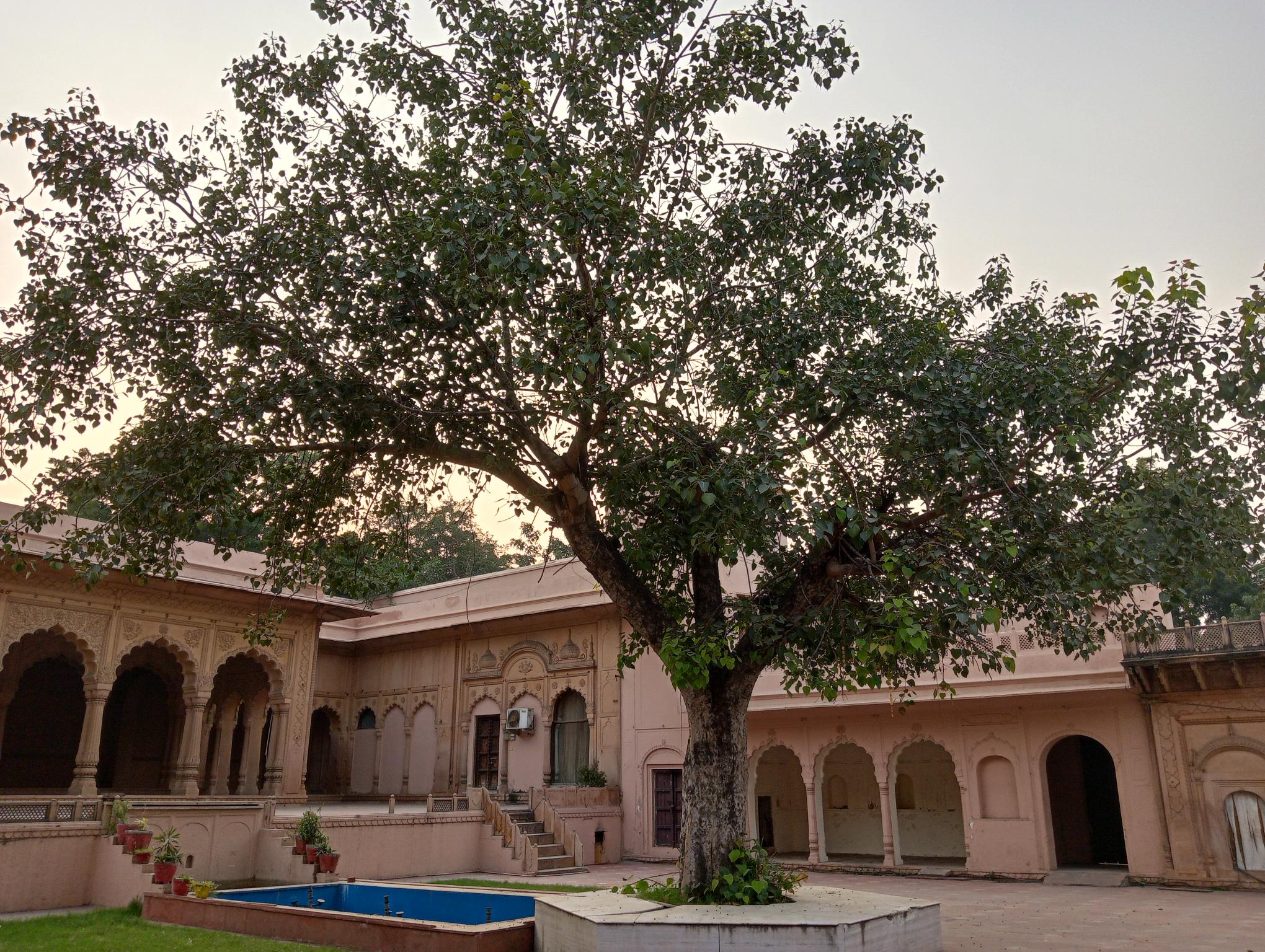 Oozing Royalty: Nahar Singh Mahal an obscure jewel in Faridabad - The ...