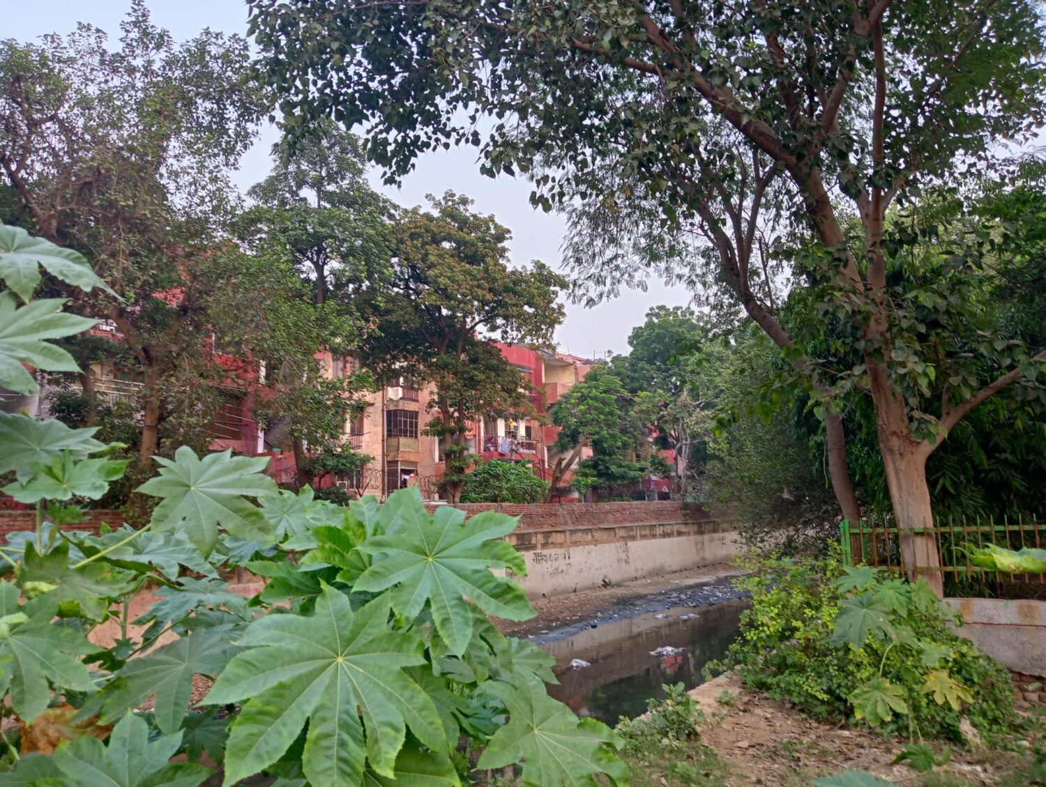 Noida’s uncovered nullahs draining public health and money - The Patriot