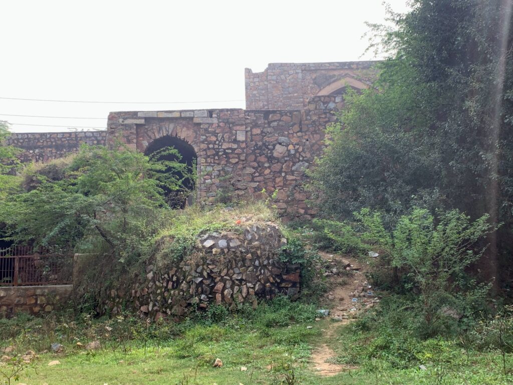 Satpula: Defender and irrigator of Tughlaq-ruled lands - The Patriot