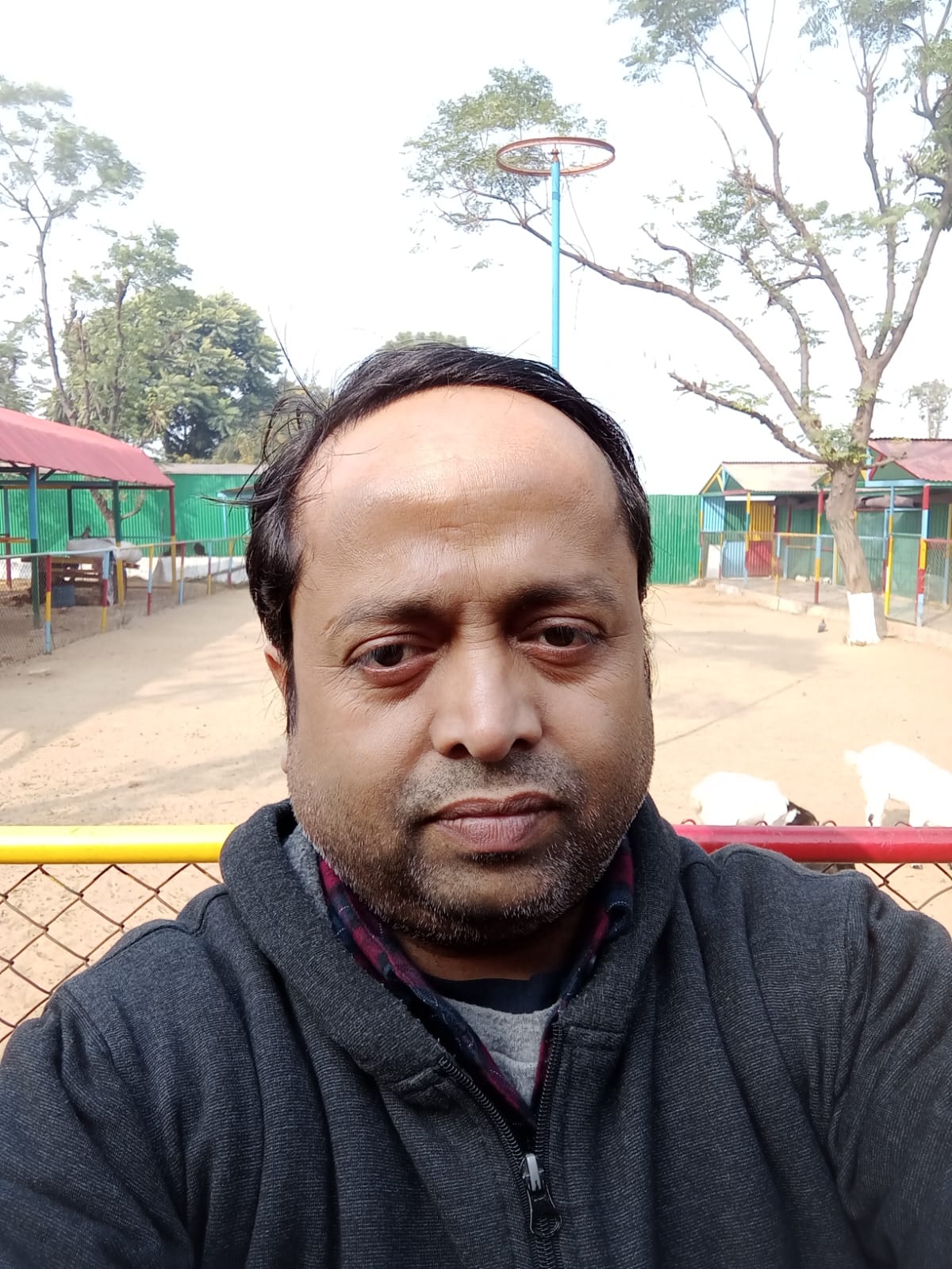 Riding the trough - The Patriot