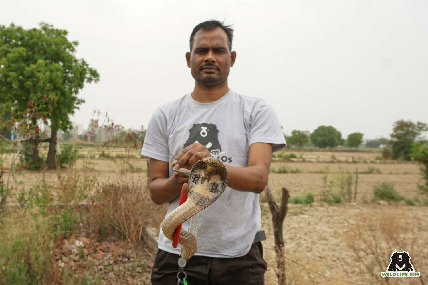 Snake scare adds to city's flood woes - The Patriot