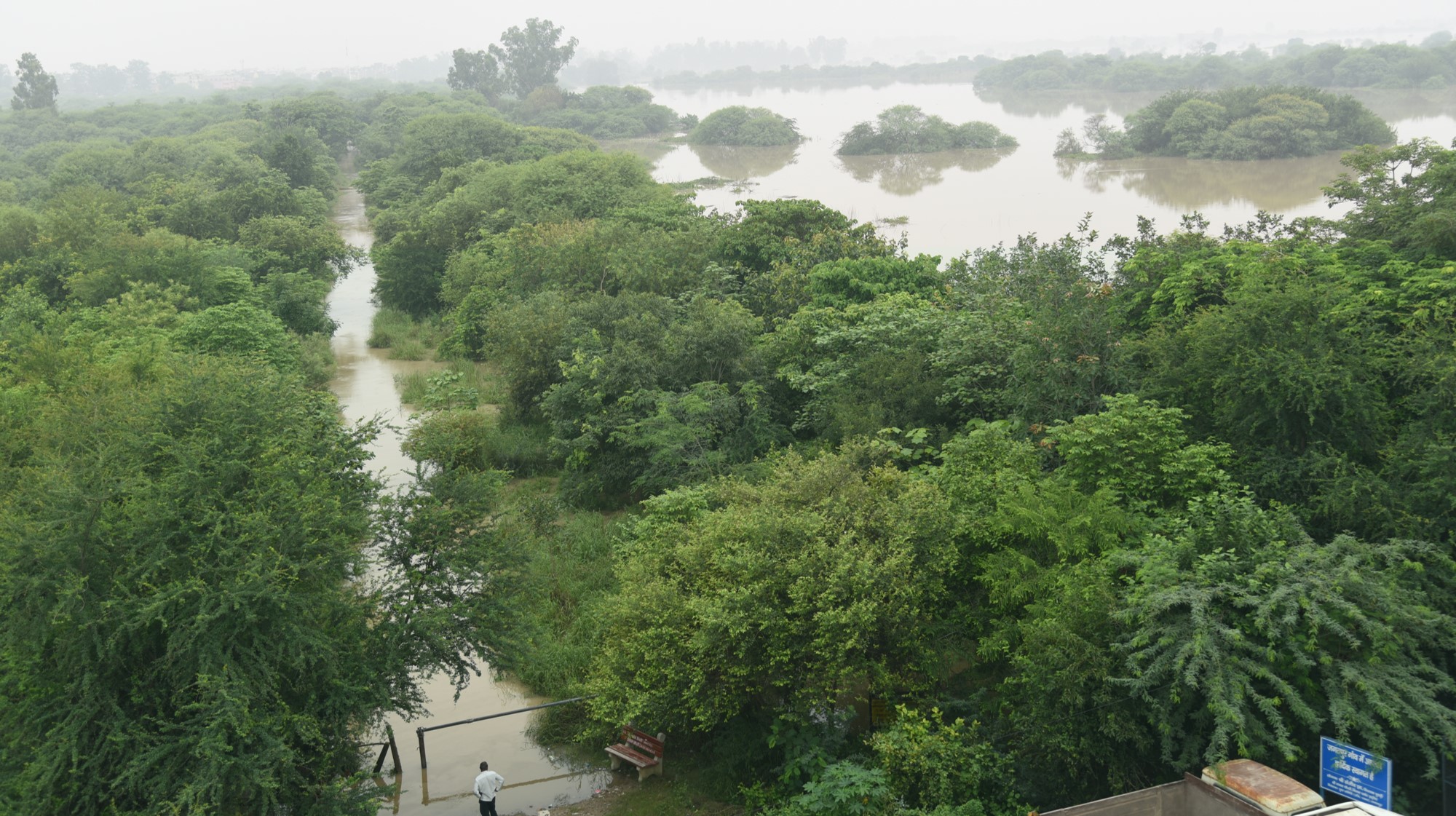 Triumph of Yamuna Biodiversity Park over floods - The Patriot