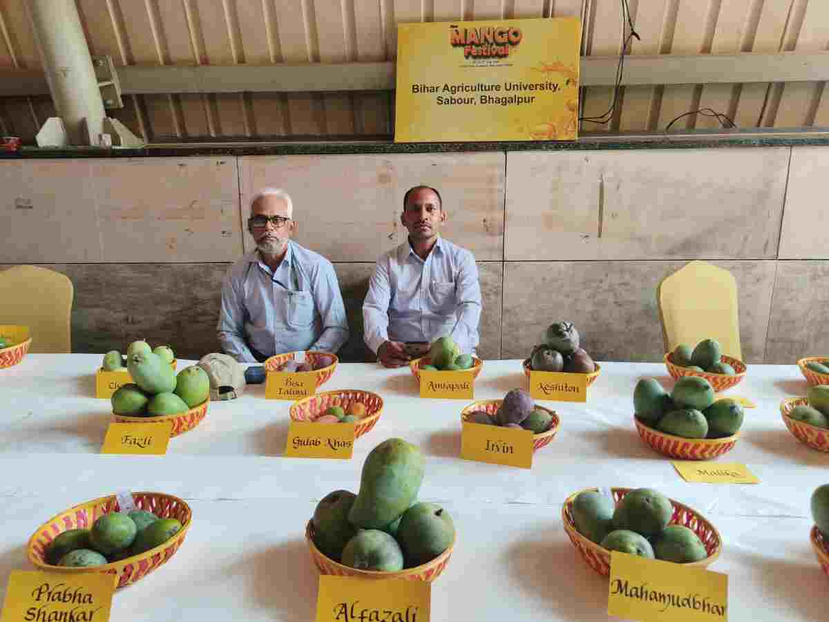 Delhi gets a taste of West Bengal, Bihar mangoes after five years
