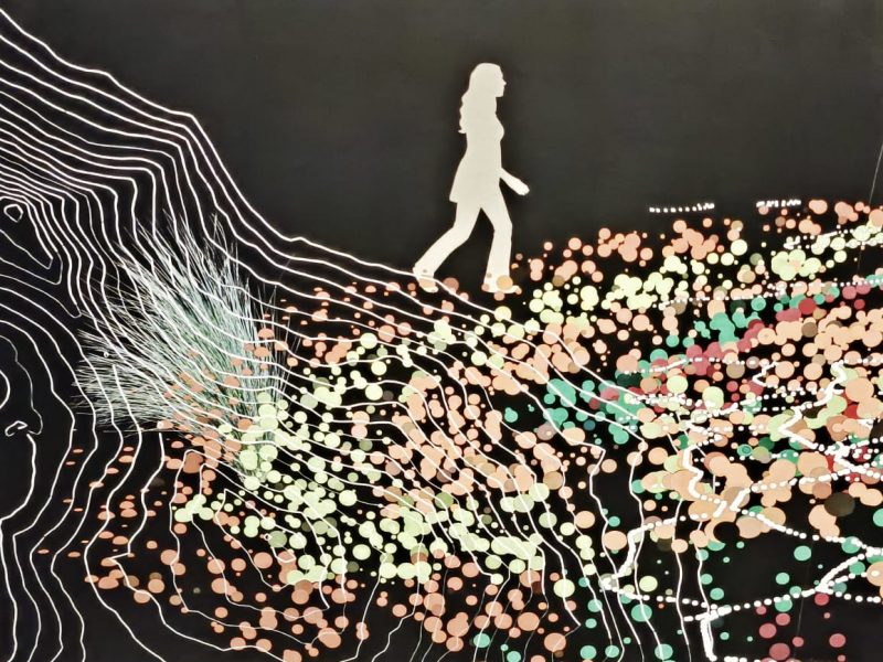 Delhiites savour Australia’s aboriginal art